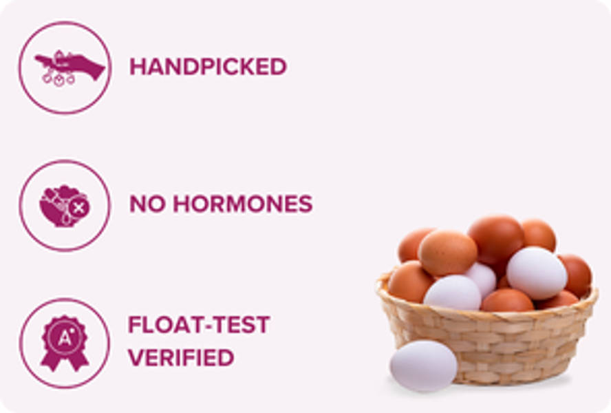 Buy Jolly Good Eggs White Eggs (Freshly Picked) Online () At Best Price
