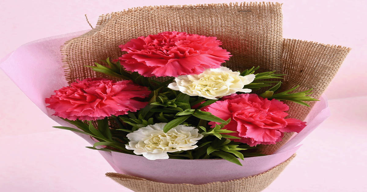 Buy Assorted Carnations Bouquet Online () At Best Price