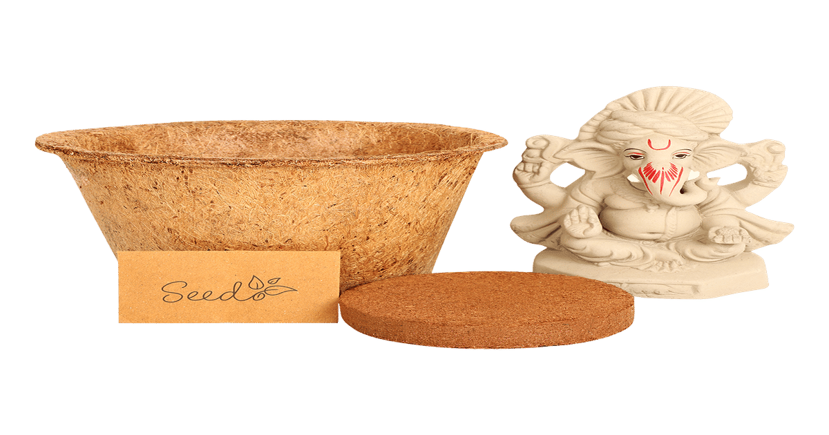 Buy Quace Eco Friendly Seed Ganesh Kit Online () At Best Price