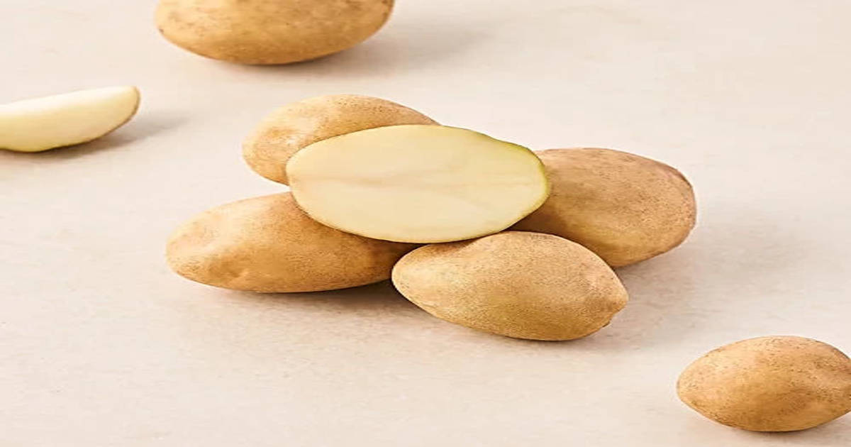 Buy Bulk- Ooty Potato Online () At Best Price
