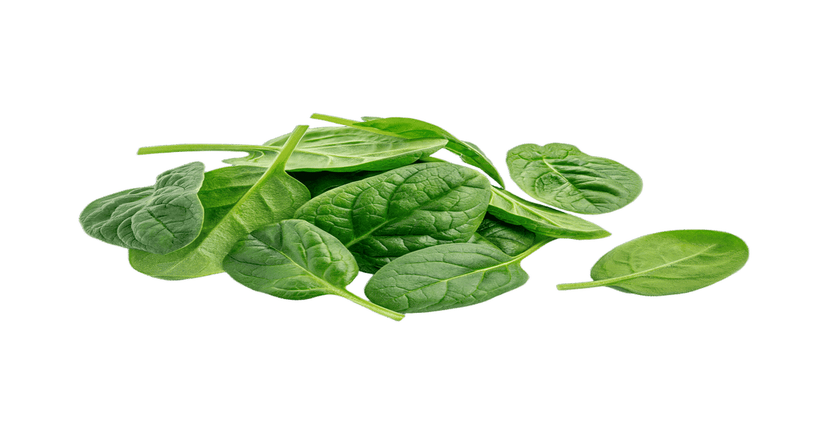 Buy nectr Baby Spinach Online (1 Bunch) At Best Price