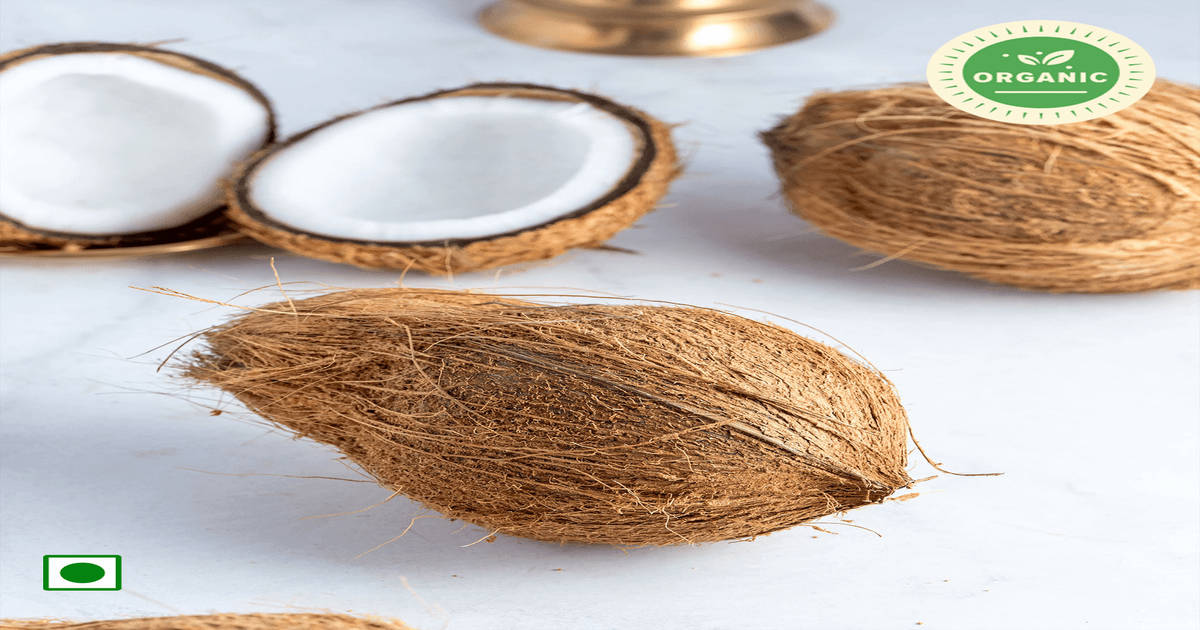 Buy Organic Certified Coconut (Thenginakaayi) Online (1 Piece) At Best ...