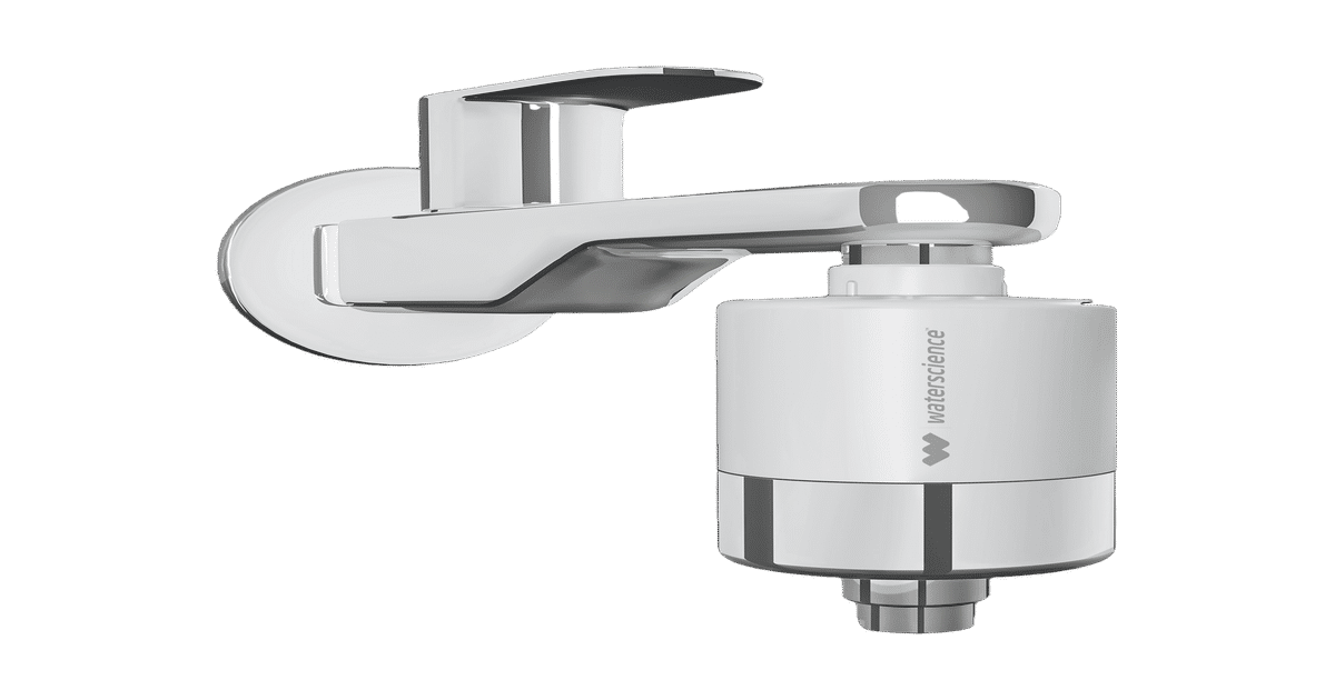 Buy WaterScience Stainless Steel CLEO Shower and Tap Filter (Silver ...