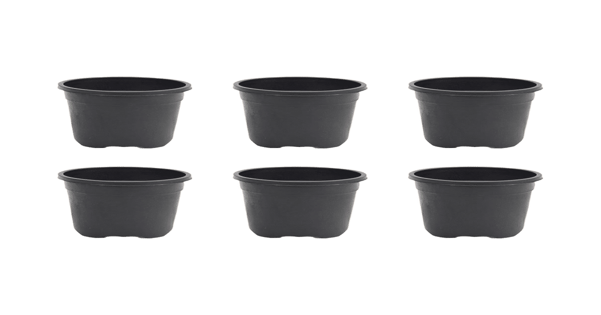 Buy Ugaoo Garden Plastic Pots for Indoor Plants (6 Inch, Set of 6 ...