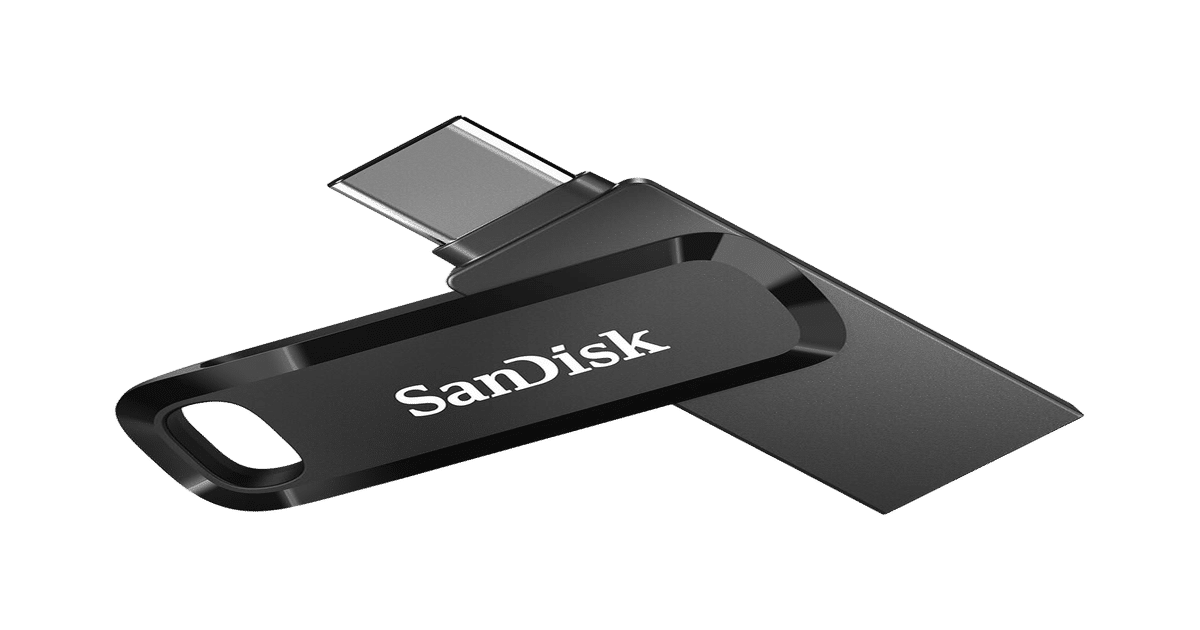 Buy SANDISK 256 GB Ultra Dual Drive Go Type C (SDDDC3-256G-I35, Black ...