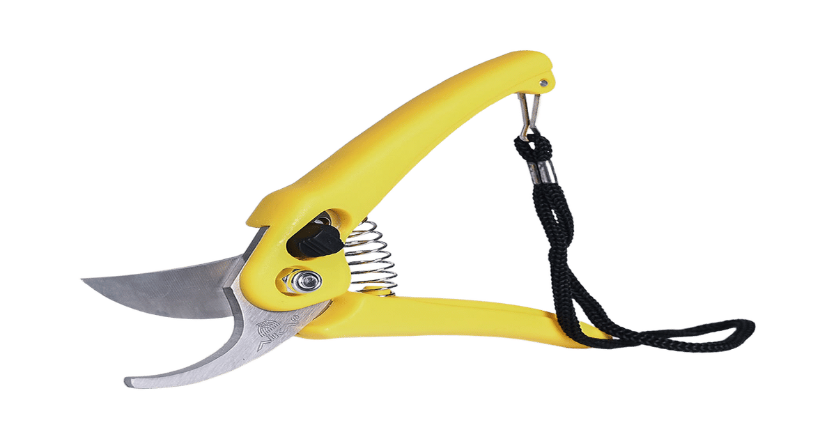 Buy Ugaoo Hand Pruner Cutter (Assorted, Steel Blades, Heavy Duty ...