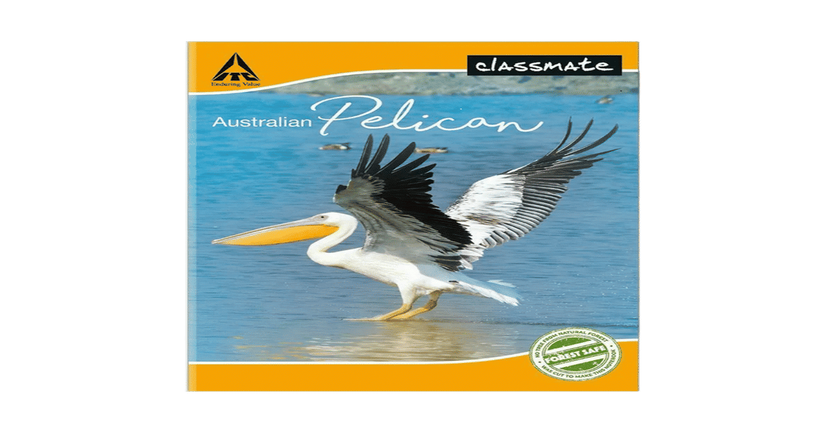 Buy Classmate Horizontal Maths Ruled Notebook | 24 x 18 cm | Soft Cover ...