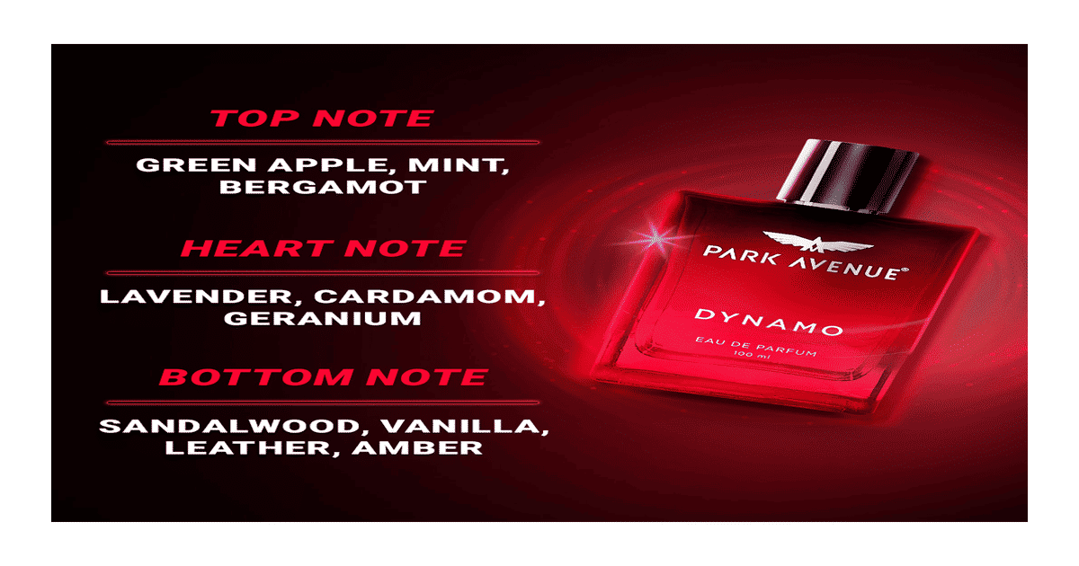 Buy Park Avenue Dynamo Premium Perfume For Men Online () At Best Price