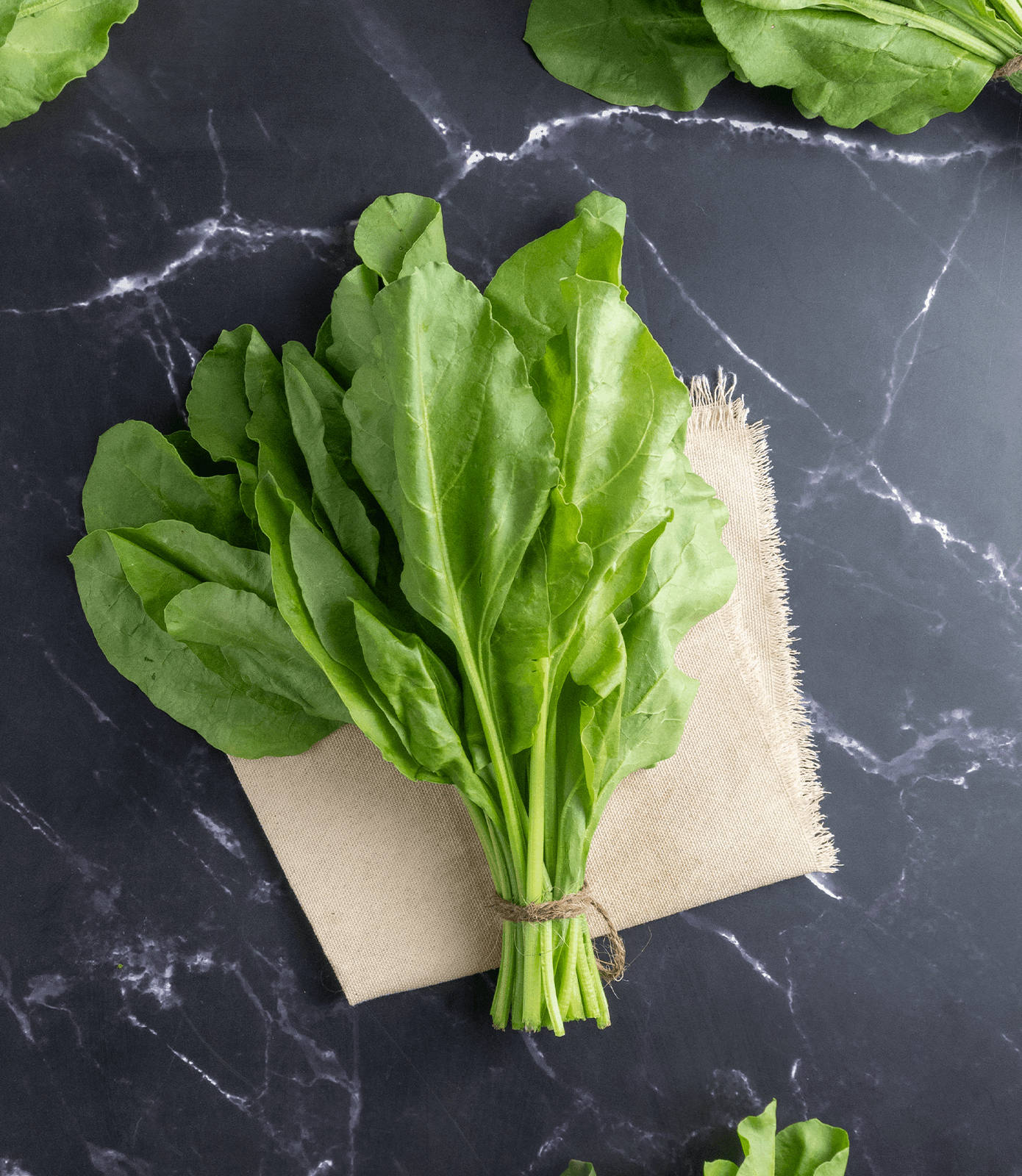 Buy Gourmet Garden Patented Naturoponic Palak (Root Cut) Online (1 ...