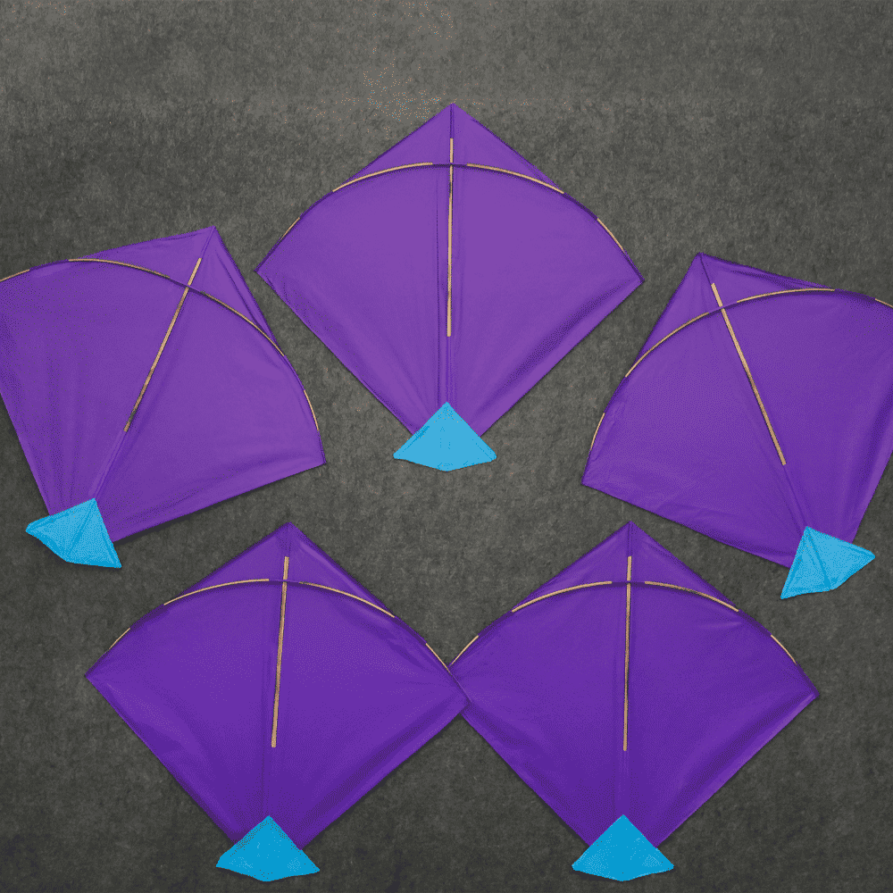 Buy Kites In Box 22 x 24 Inch 5 pieces Online At Rs. 199 | Instant Delivery