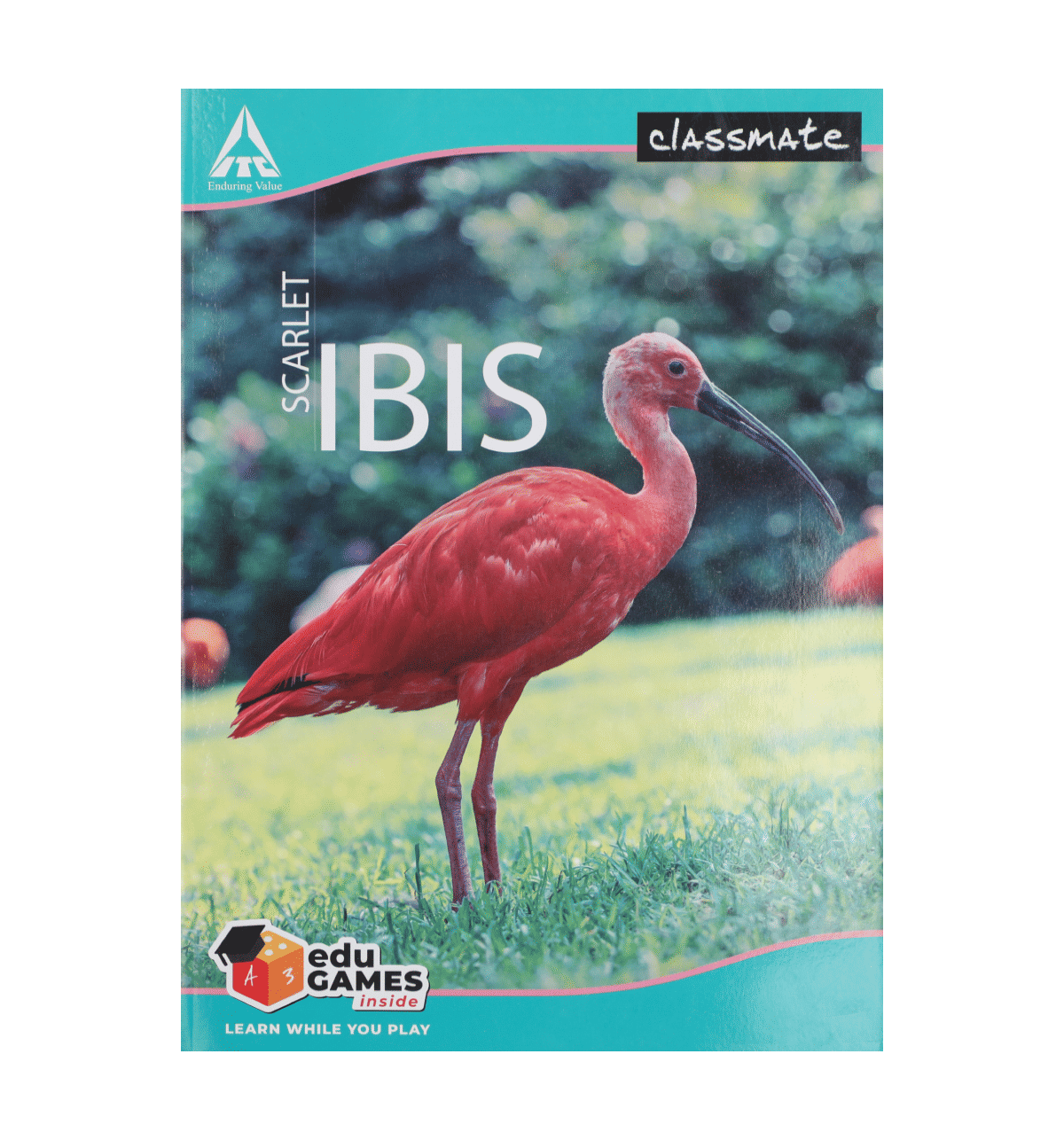 Buy Classmate Classmate Single Line Soft Cover Note Book(172 pages ...