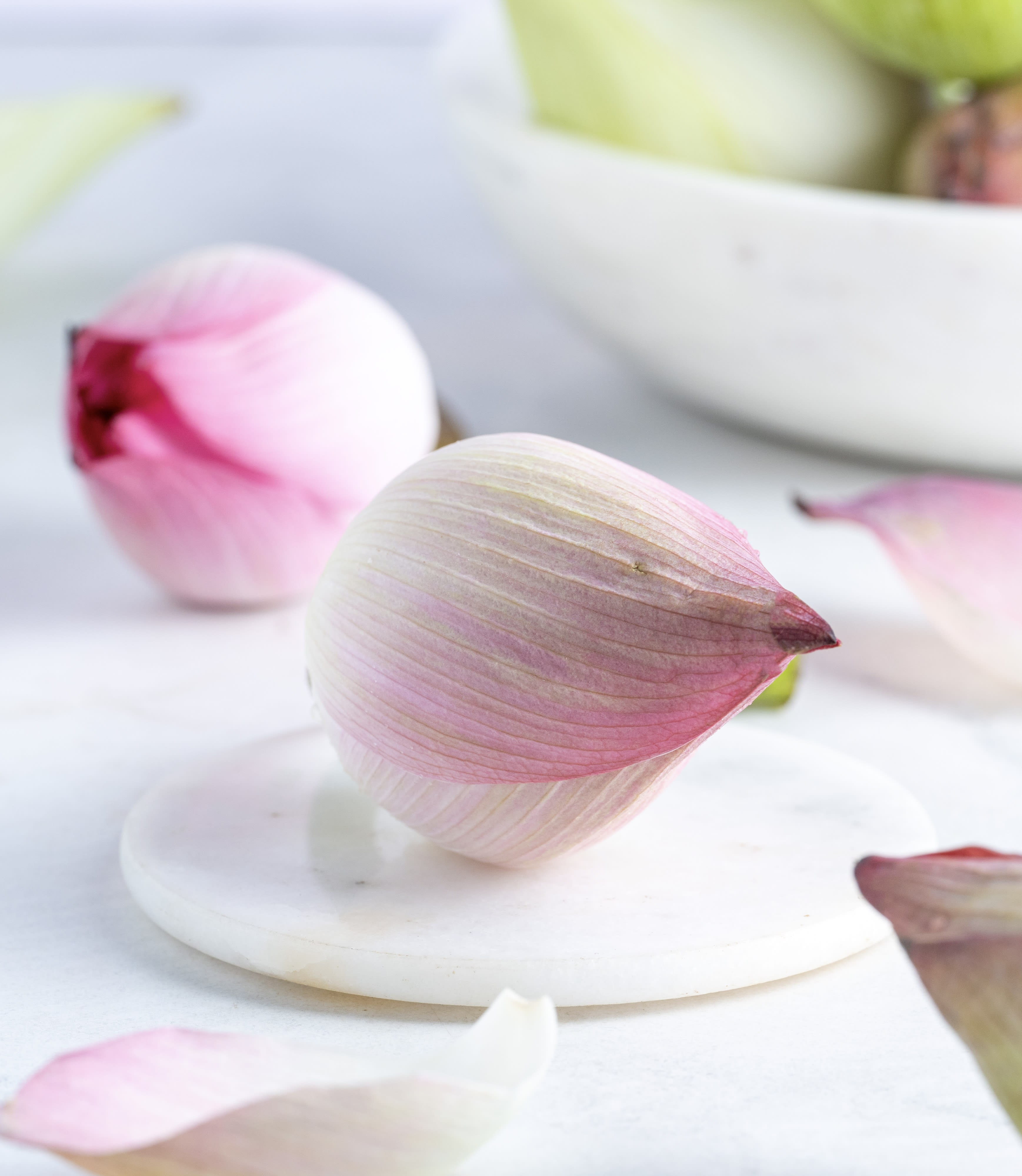 Buy Lotus Flower (Tavare Hoovu) 2 pieces Online At Rs. 124 | Instant ...