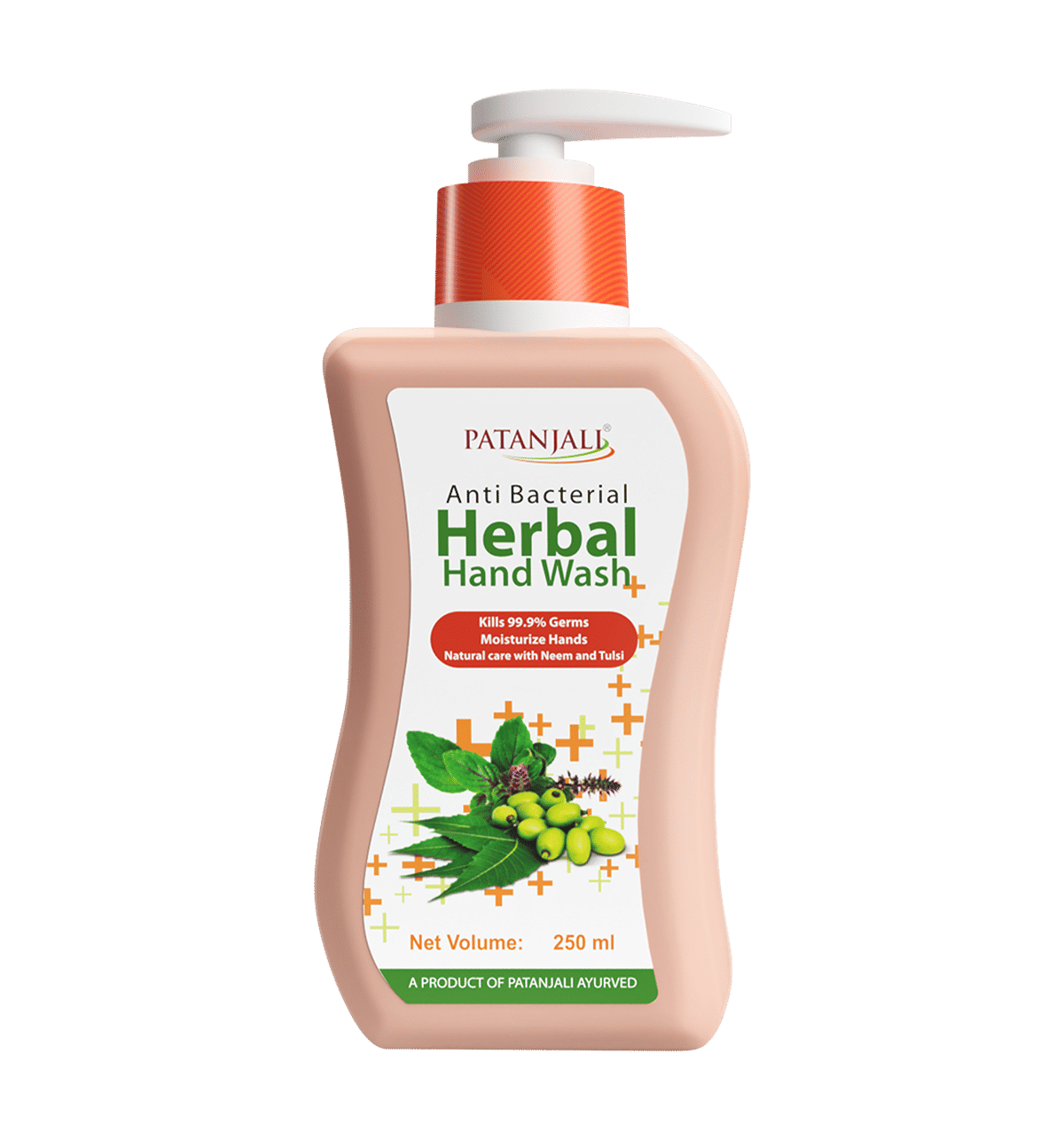 Buy Patanjali Patanjali Anti Bacterial Herbal Hand Wash (Pump) 250 ml ...
