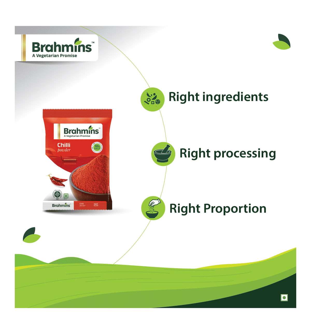 brahmins chilli powder