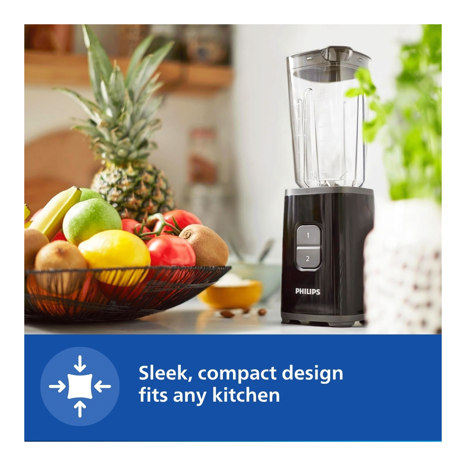 blender philips mini